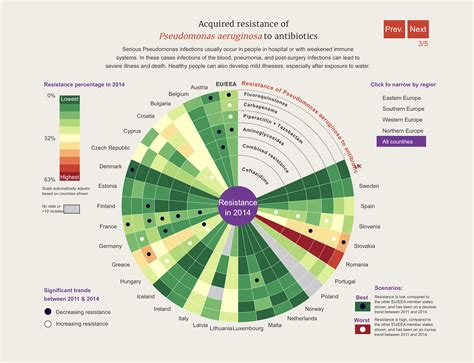 Circular Heat Map Data Viz Project
