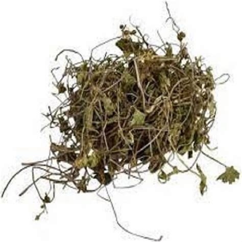 Brahmi Herbal Root For Medicine Purpose Packaging Size 1 2 Kg At ₹ 105 Kg In Nagpur