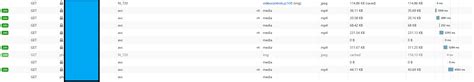 Videos Dont Play In The Ui Config Issue Rphotoprism