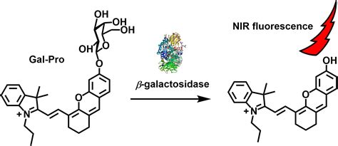 Athena News And More