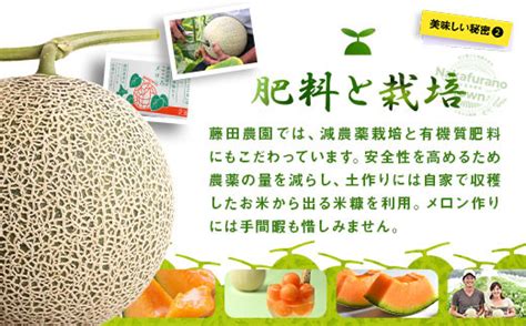 【2025年発送】ふらのメロン赤肉大玉1玉（2㎏～） 北海道中富良野町 セゾンのふるさと納税