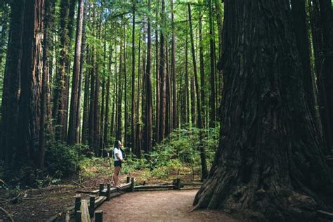20 Best Things To Do In Santa Rosa California