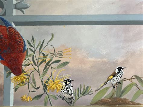 Native Birds Australia For Lovers Of Birds Raustralianbirds
