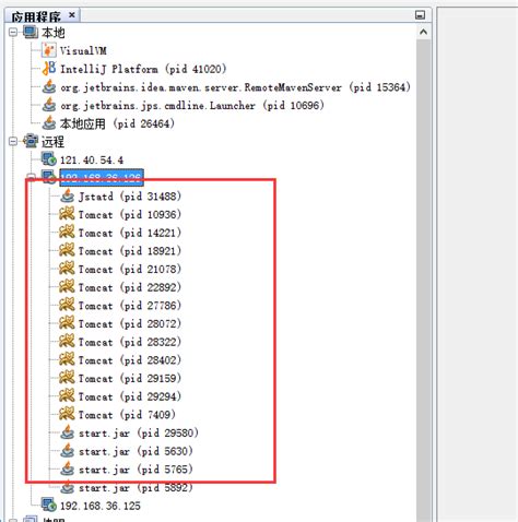 jvisualvm 连接 jstatd监控jvm jstatd添加不了 csdn博客