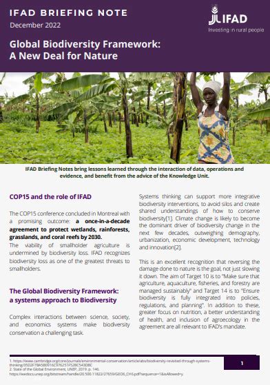 Global Biodiversity Framework A New Deal For Nature