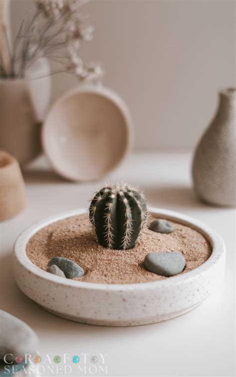 17 Best Mini Cactus Garden Ideas Crafty Seasoned Mom