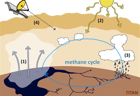 Investigation Of The Enigmatic Methane Cycle With A New Advanced Model