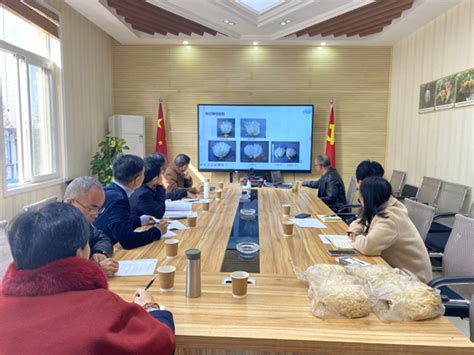 四川省农业科学院省食用菌所选育的金针菇新菌株通过田间技术鉴定