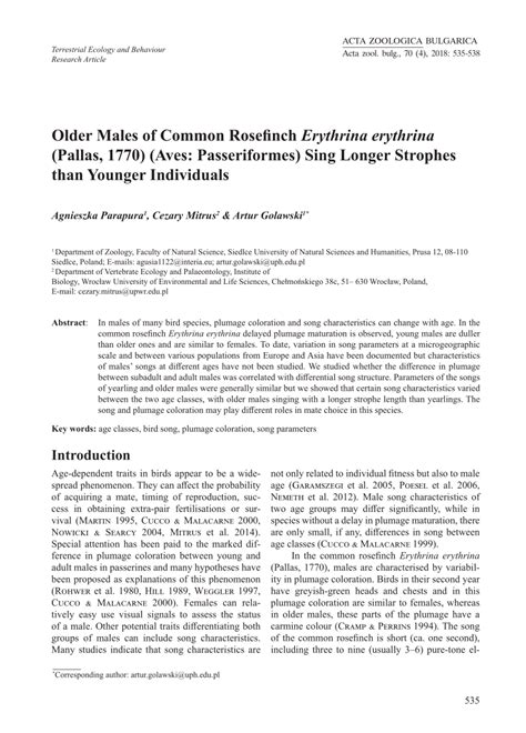 Pdf Older Males Of Common Rosefinch Erythrina Erythrina Pallas 1770
