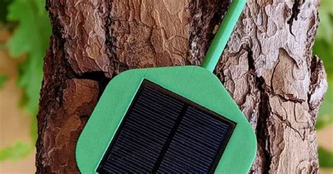 Ai Driven Wireless Tree Network Connects Wildfire Defense System