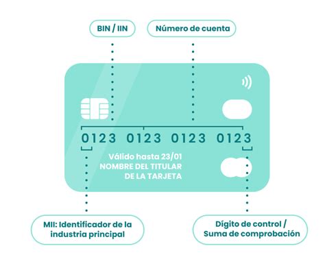 Cómo Aprender A Convertir Ccs A Bins De Manera Efectiva
