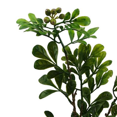45cm Artificial Aglaia Odorata Bonsai Ficus Tree Leaf Design Wholesale