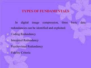 Fundamentals And Image Compression Models Pptx