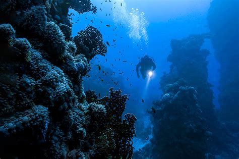 5 Harvard Vacations