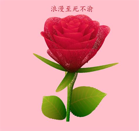 浪漫表白代码大全让你的爱情更加甜蜜