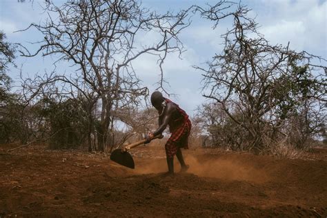 Lead Foundation Camp Our World Justdiggit