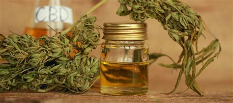 Cbd Ultimate Guide Ecig One