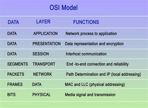 Open Systems Interconnection Model Stock Illustration Illustration Of Information