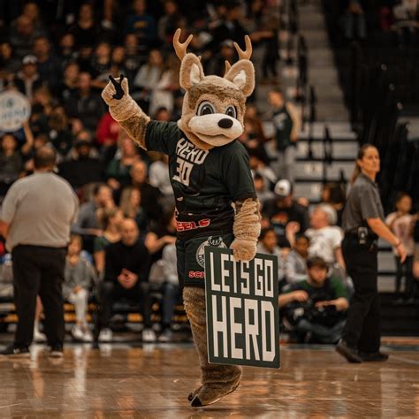 Pointer Mascot Hall Of Fame