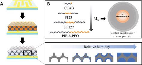 A Mechanism Of Humidity Sensing Based On Capillary Condensation In The