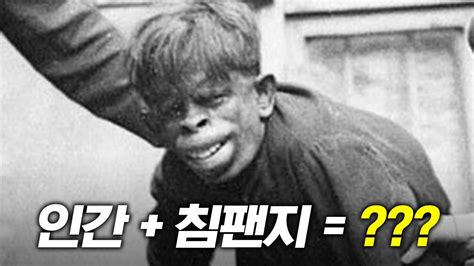 이걸 했다고 Youtube