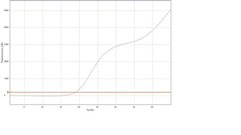 How Can It Be Explained This Amplification Curve In Real Time Qpcr With Double Exponential Phase