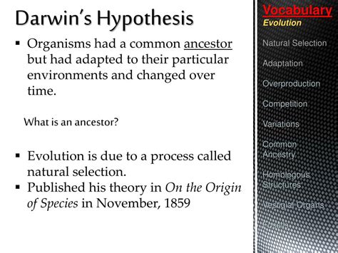 Ppt Evolution And Natural Selection What Does It Mean To Evolve What