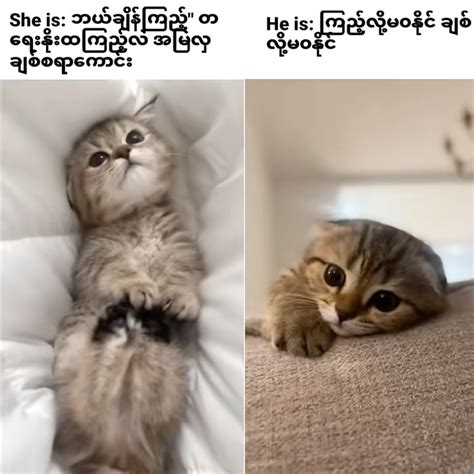 ကိုကို့ချစ်မဝလေး Youtubeshorts Youtube