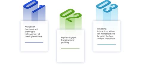 Single Cell Transcriptome For Gut Microbiota Samples M20 Genomics