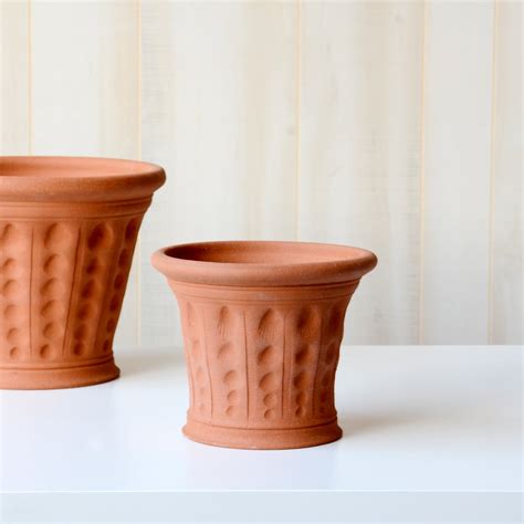 Cockleshell Pot White Flower Farm