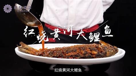 红烧黄河大鲤鱼年少狂梦 站酷zcool