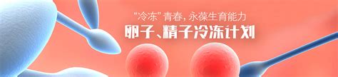 美国试管婴儿 试管婴儿费用 美国冻卵 WFI美国西海岸生殖医疗中心
