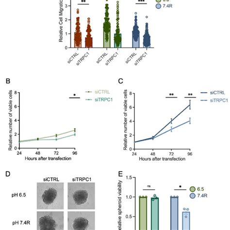 Trpc1 Protein Expression Is Affected By Acid Adaptation And Recovery