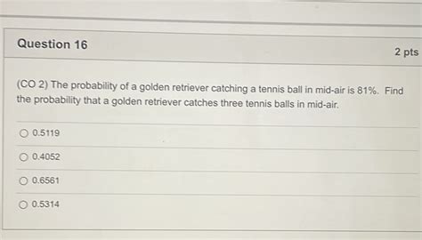 Solved Question 16 2 Pts CO 2 The Probability Of A Golden Retriever