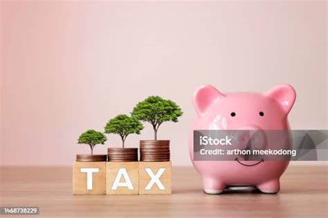 쌓인 동전과 Tax라고 표시된 나무 블록에서 자라는 나무가 있는 세금 및 과세 개념 0명에 대한 스톡 사진 및 기타 이미지