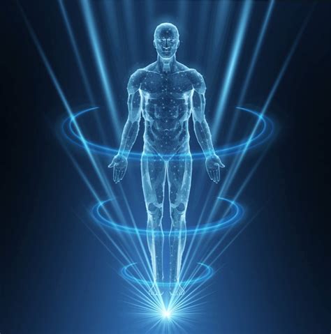 Sistema En Biologa Concepto Y Sistemas Del Cuerpo Humano