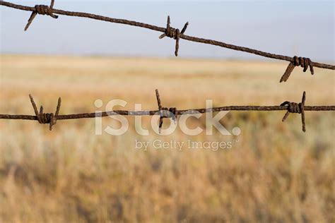 Rust Fence Stock Photo Royalty Free FreeImages