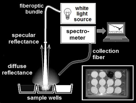 Figure1 Diffuse Reflection Spectroscopy Of Bacteria Suspended In Water