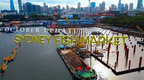 The New Sydney Fish Market Will Be Awesome Construction Update
