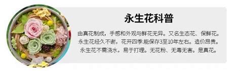 乌梅子酱花束永生玫瑰情人节送伴侣送爱人送闺蜜七夕告白求婚礼盒 阿里巴巴