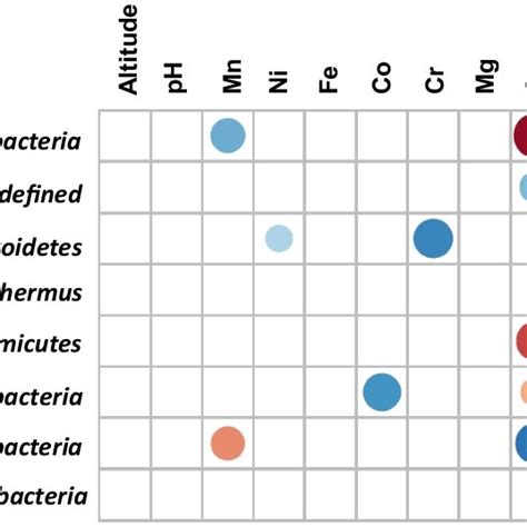 Correlogram Depicting Spearman Correlations Between Relative Abundances