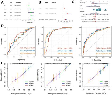 Construction And Validation Of The Nomogram Ab The Univariate And