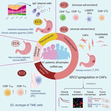 Single Cell RNA Sequencing New Insights Into Cancer Immunopaedia