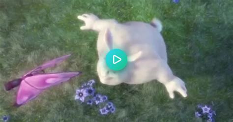 Imgur The Magic Of The Internet