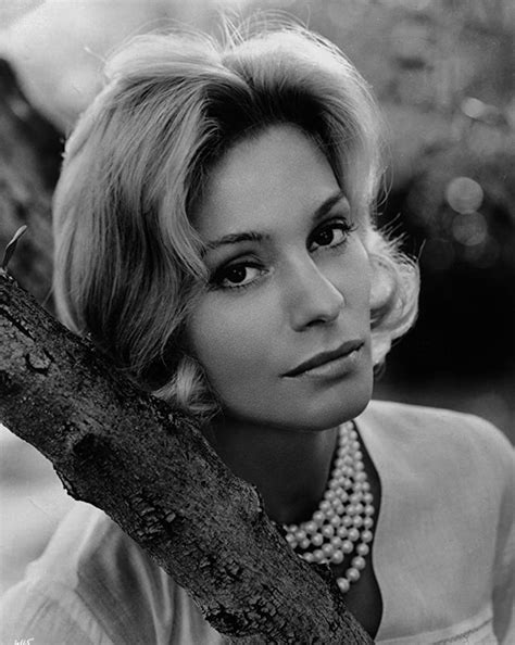 Picture Of Ingrid Thulin