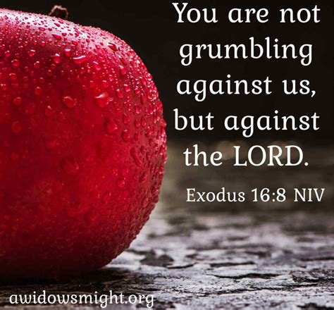 Grumbling Or Gratitude Which Do You Choose A Widow S Might