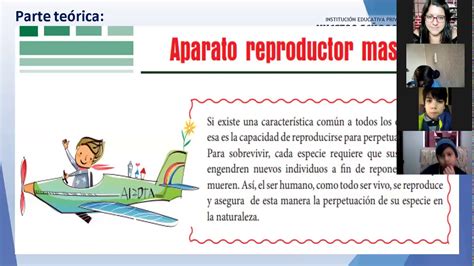 5º B BiologÍa Aparato Reproductor Masculino Youtube