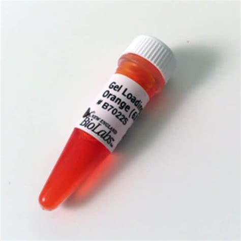 New England Biolabs Inc Gel Loading Dye Orange 6x 4 Ml Quantity
