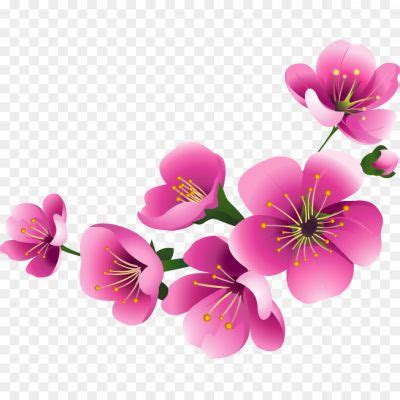 Blossom Flower Clipart PNG Pngsource