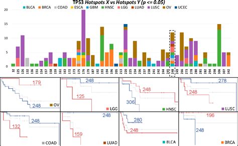 Figure 3 From The Impact Of Mutational Hotspots On Cancer Survival